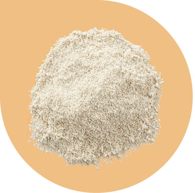 Endosperm oat flour for dairy alternatives