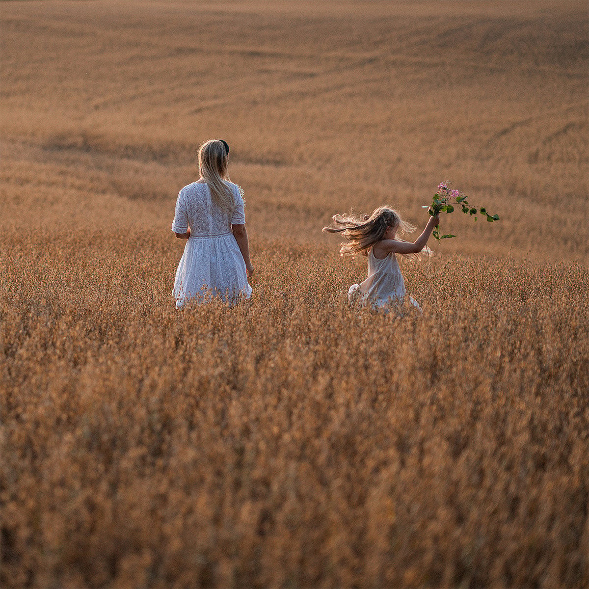 Oat of Finland: Discover the top-grade oats for your food products