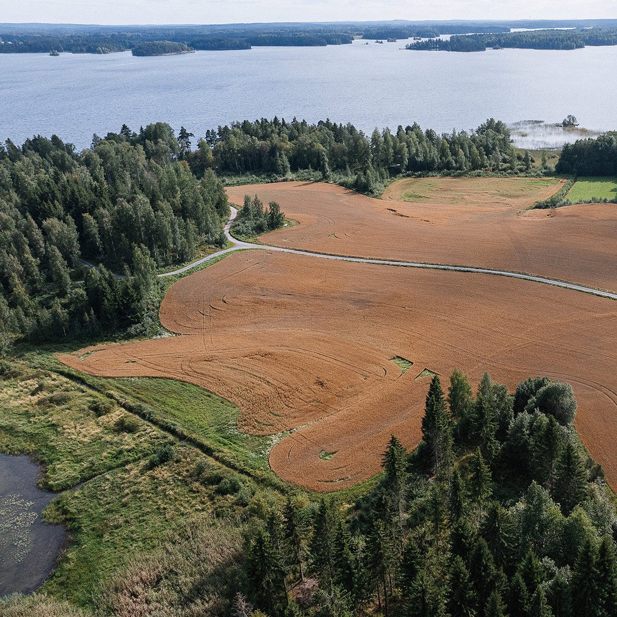Oat of Finland: Discover the top-grade oats for your food products
