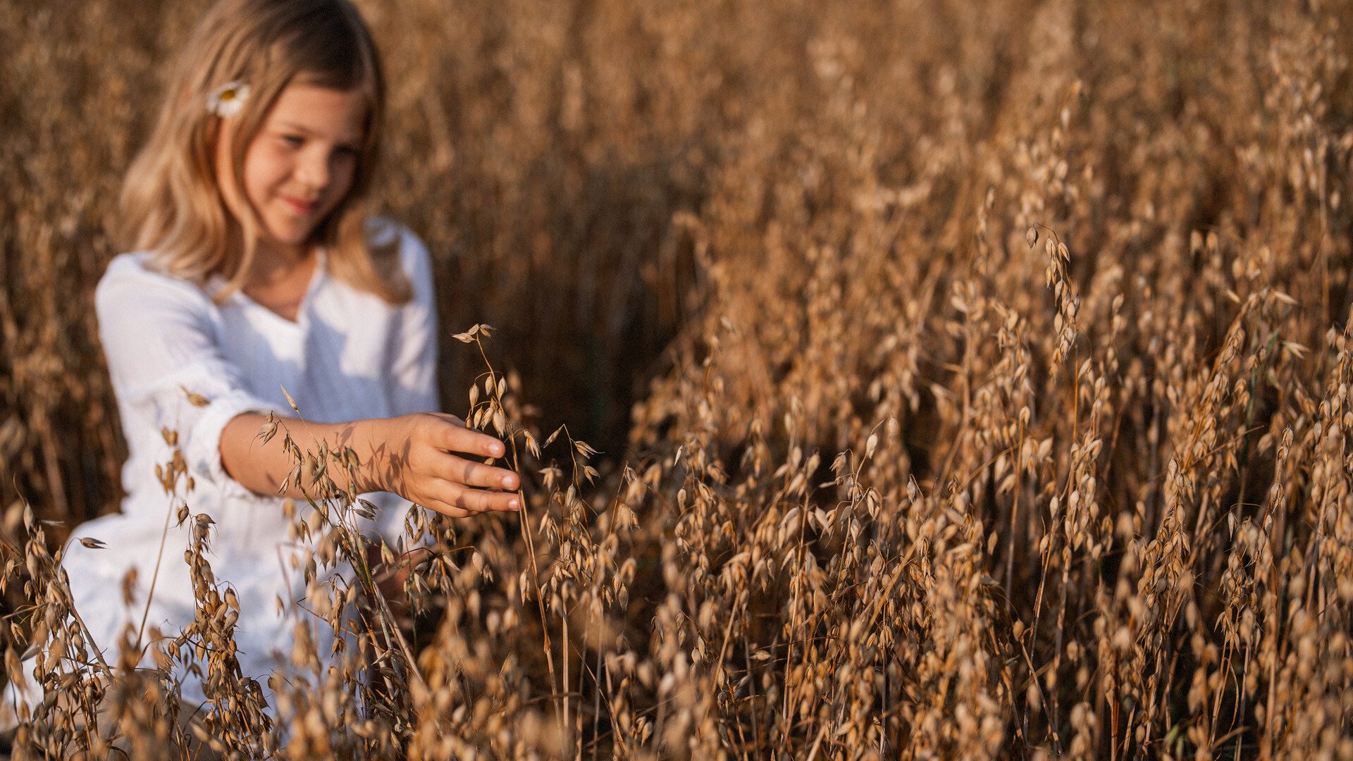 Whole grain Oats – As Healthy as it gets