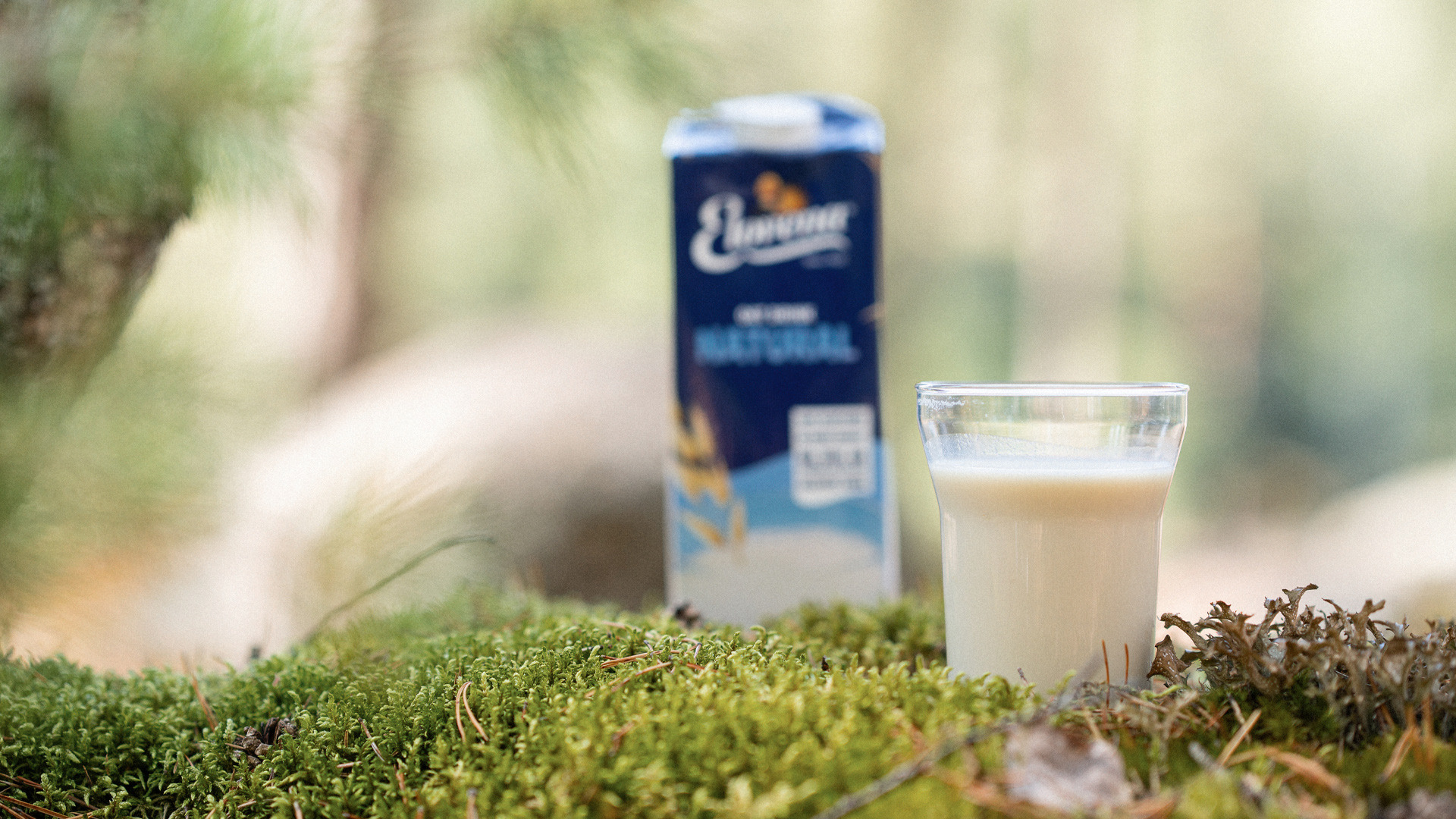Endosperm oat flour for dairy alternatives